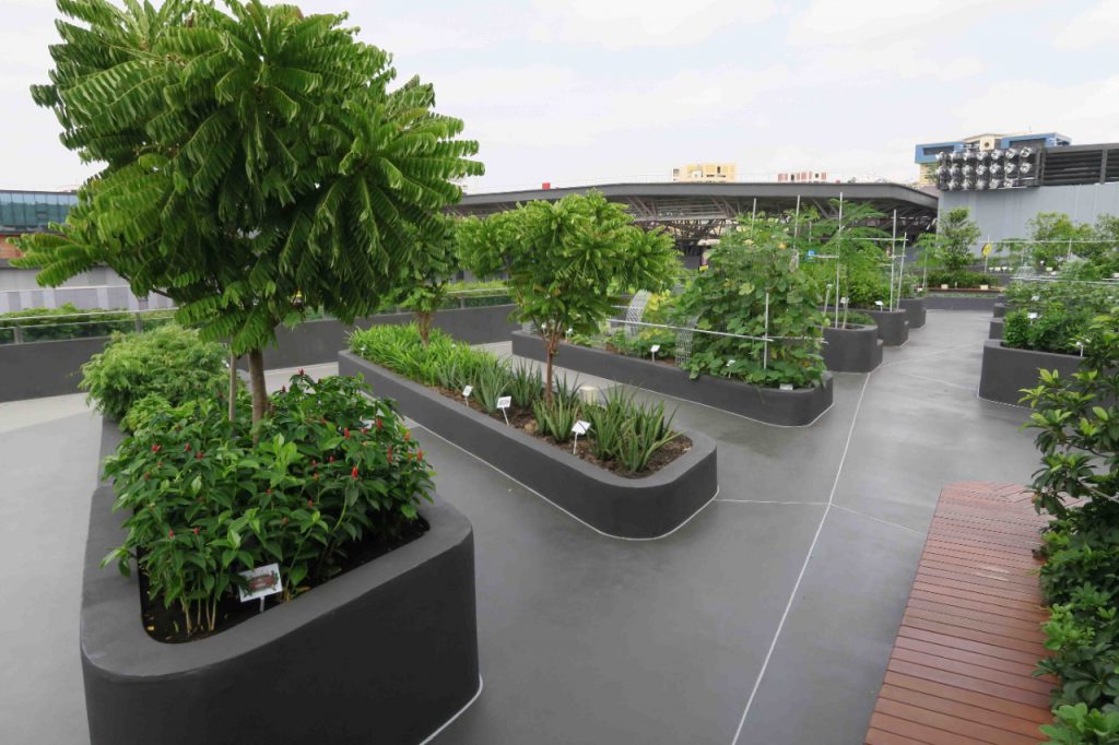 Embracing greenery at various ‘eye levels’ - The City at Eye Level