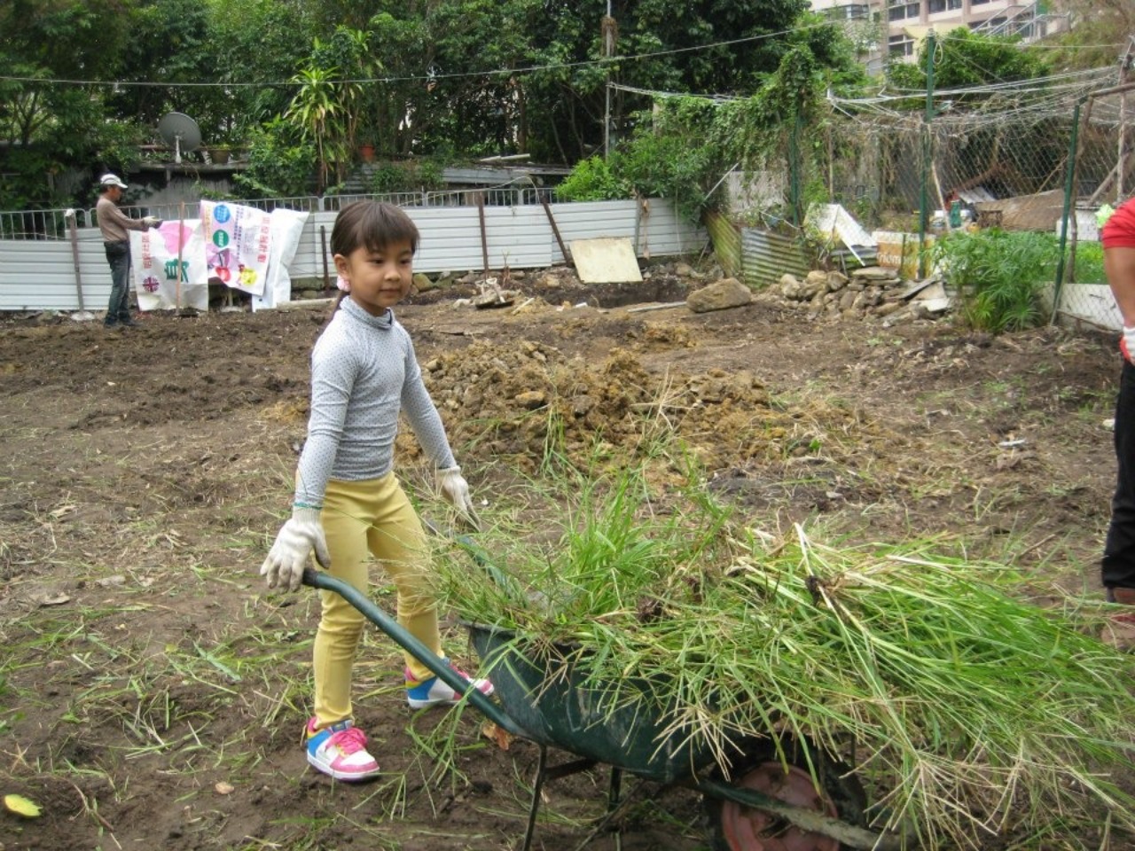 How a community farm saved the last village in Hong Kong - The City at ...