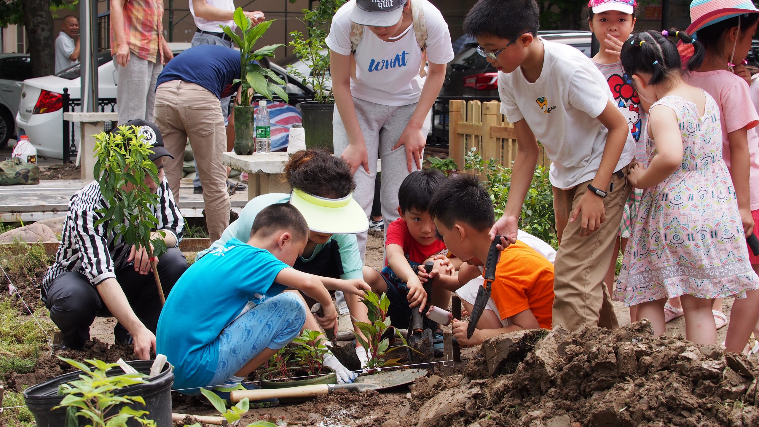 Micro Urban Renewal - Community Gardens in High-density Central City ...